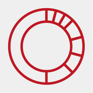 PRO 20 - Rapid Shape