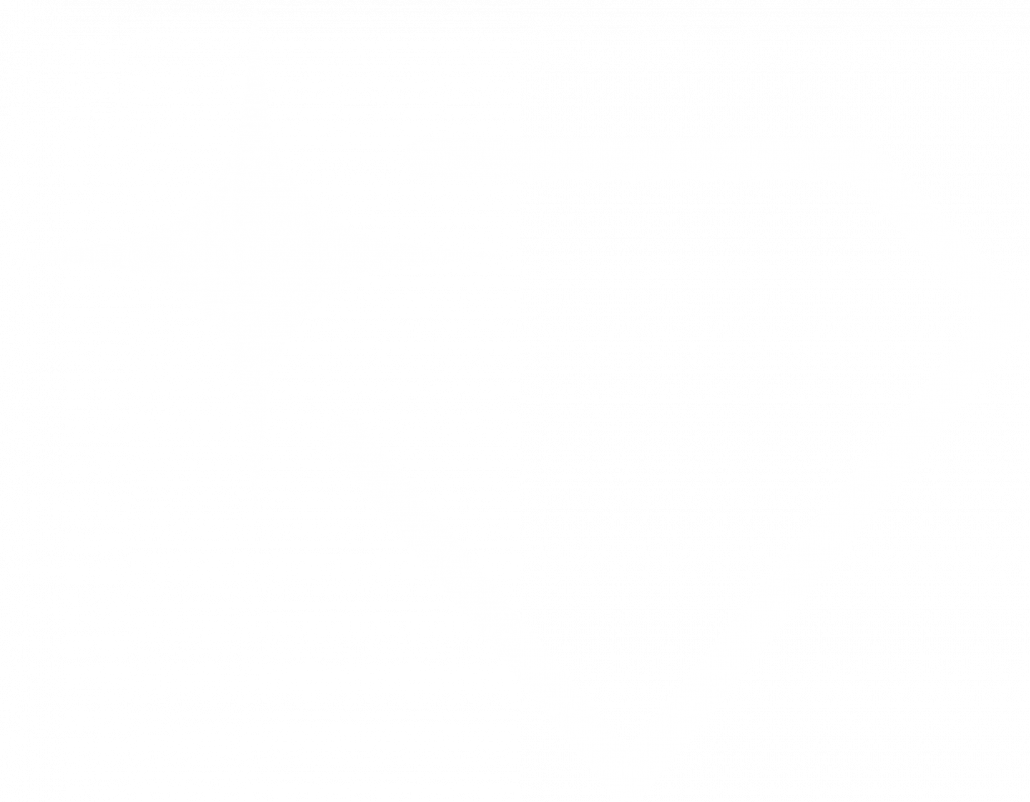 PRO 20 - Rapid Shape