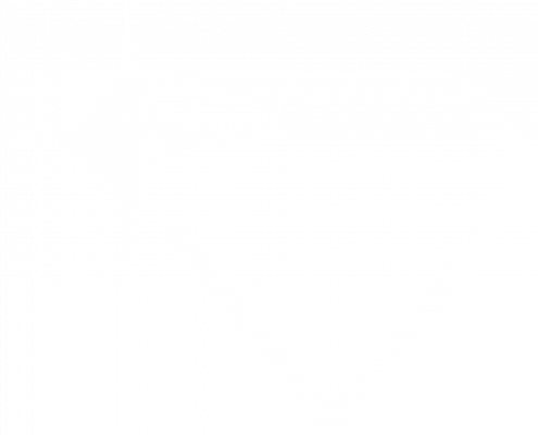 PRO 20 - Rapid Shape